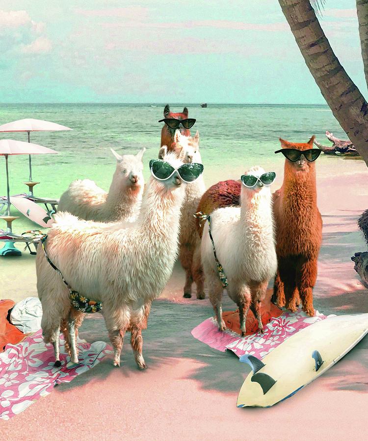 Llama on Break! – Young Llama Reader